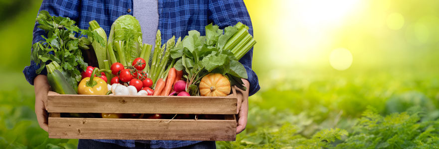 L'enjeu des achats des produits locaux sans intermédiaire